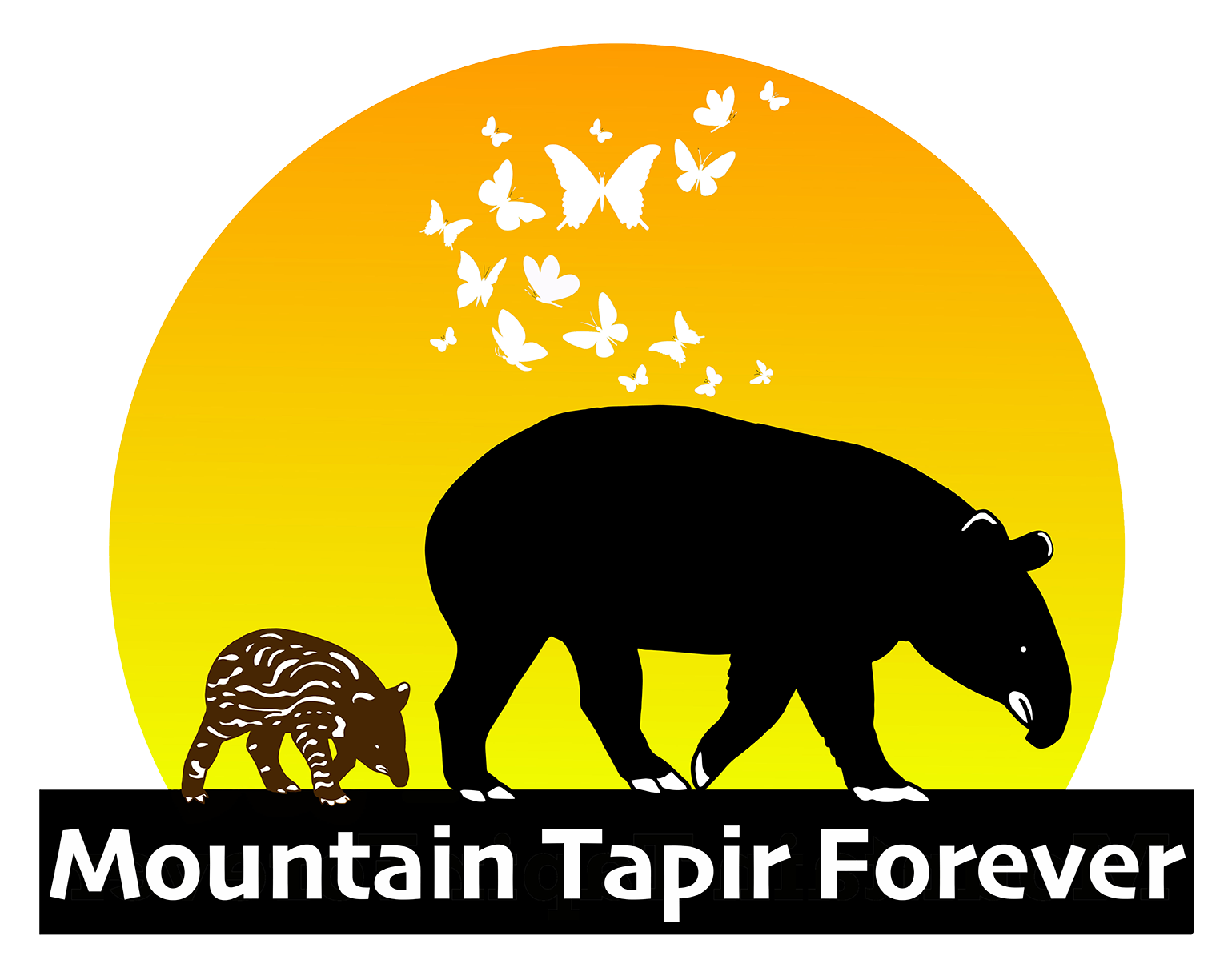 Stories - Mountain Tapir Project